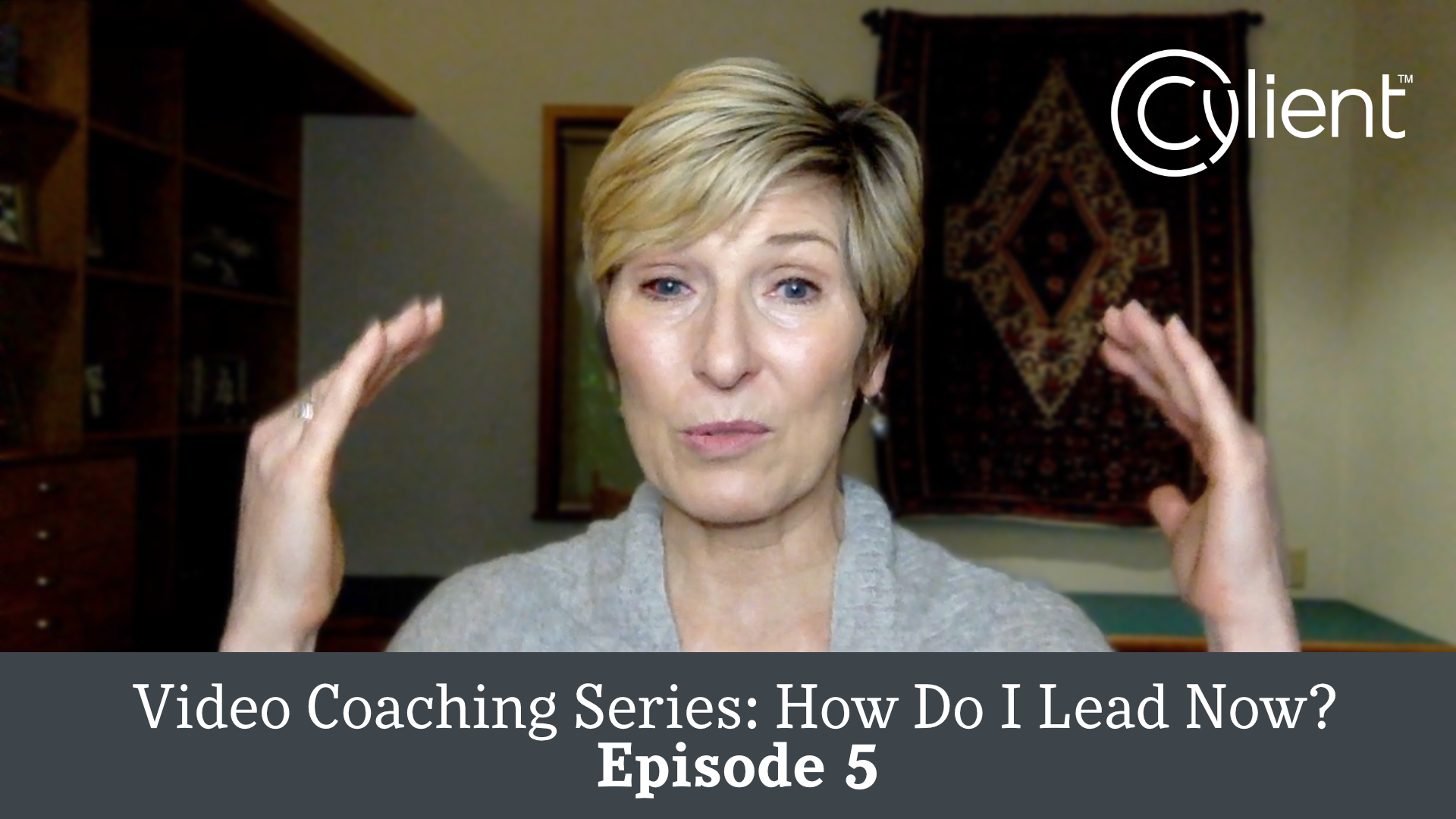 How to Make Friends with Fear (Episode 5 of "How Do I Lead Now?") - Cylient